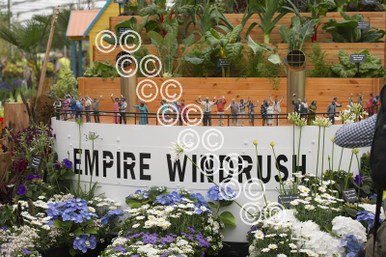 36473483-The Empire Windrush garden display in the Grand Pavilion in ...