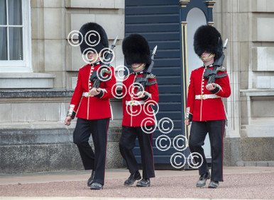 36673494-Soldiers from the Grenadier guards guarding the entrance to ...