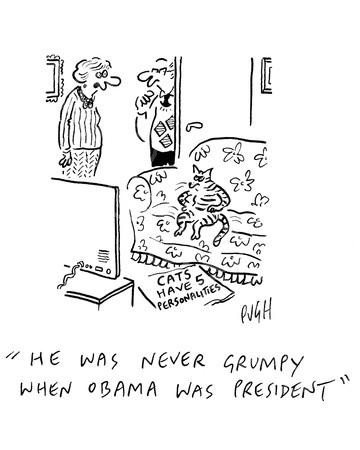 34414308-Jonathan Pugh cartoon: Cats have five personalities. Caption ...