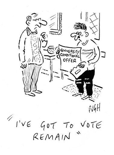 35623796-I have got to vote remain - Newsprints