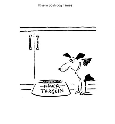 18155727-Posh Dog Names - Newsprints