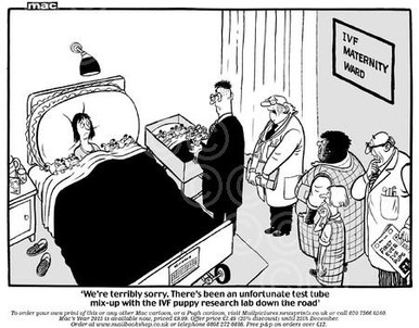 32141129-Mac cartoon for Daily Mail 11th December 2015 showing a woman ...