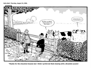 37285764-Mac cartoon for the Daily Mail on 24 August 2006. Caption ...