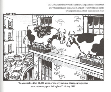 37285779-Mac cartoon for the Daily mail 30th July 1993 showing two cows ...