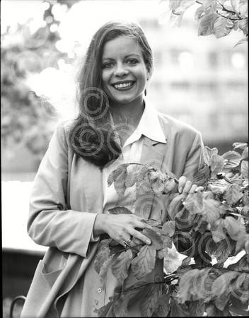 34315594-Actress Michelle Newell . REXSCANPIX. - Newsprints