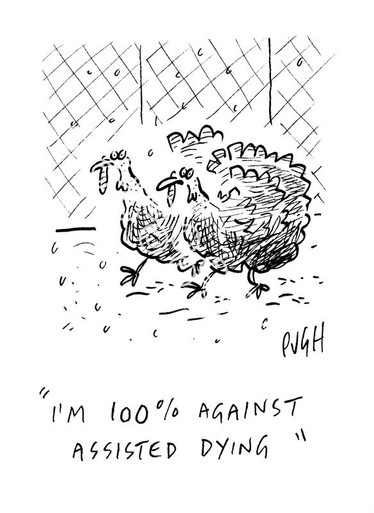 40077567-Turkey Assisted Dying 2-12-24 - Newsprints