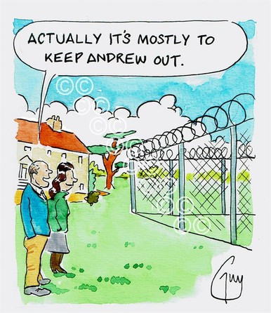 40410590-Guy Venables Cartoon for Metro 4 Nov 2025 Fence in Windsor ...