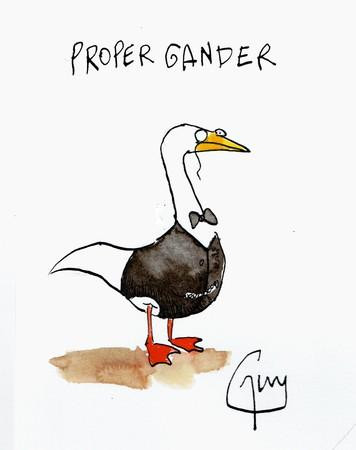 38407401-Guy Venables cartoon, Proper Gander . copyright Guy Venables ...