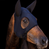Titanium Mask