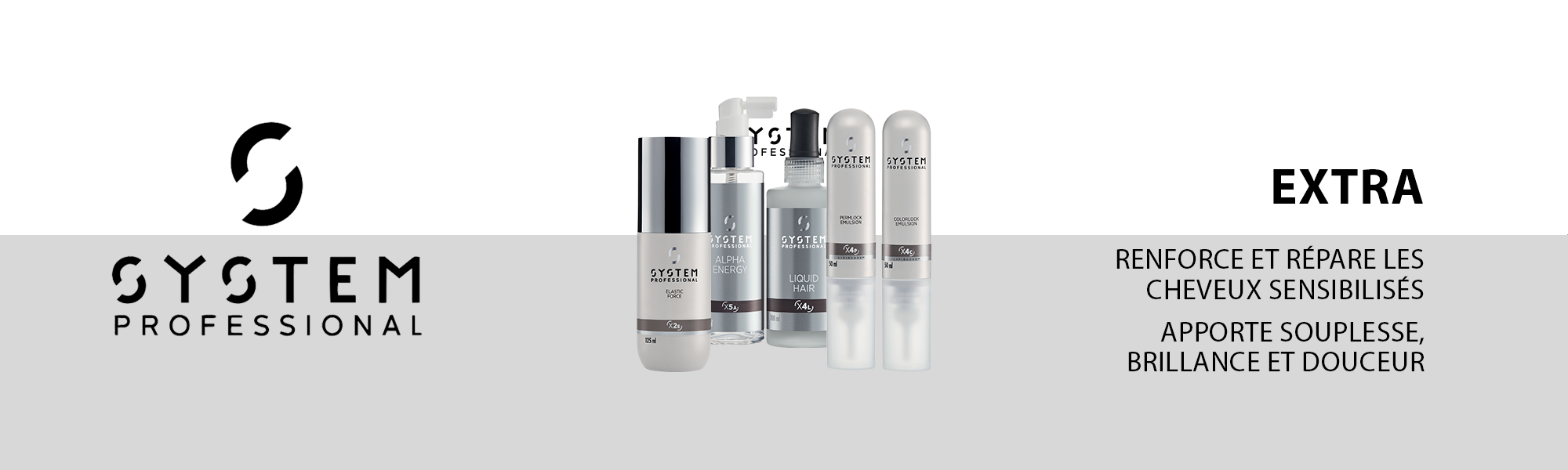 Extra System Professional