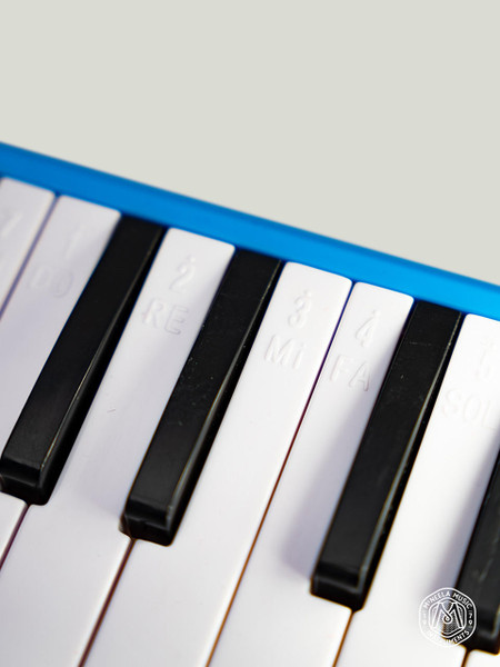 McNeela Melodica | McNeela Instruments