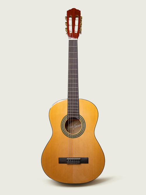 Jose Ferrer Guitar with Gig Bag - Great Student Guitar | Mcneela Music