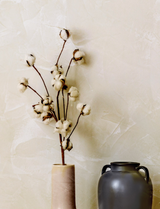 Marmorino Hydro Water-Repellent Plaster