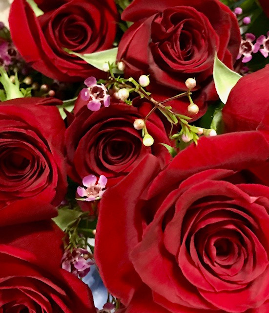 Havertown PA Florist - Belvedere Flowers- Philadelphia PA Florists