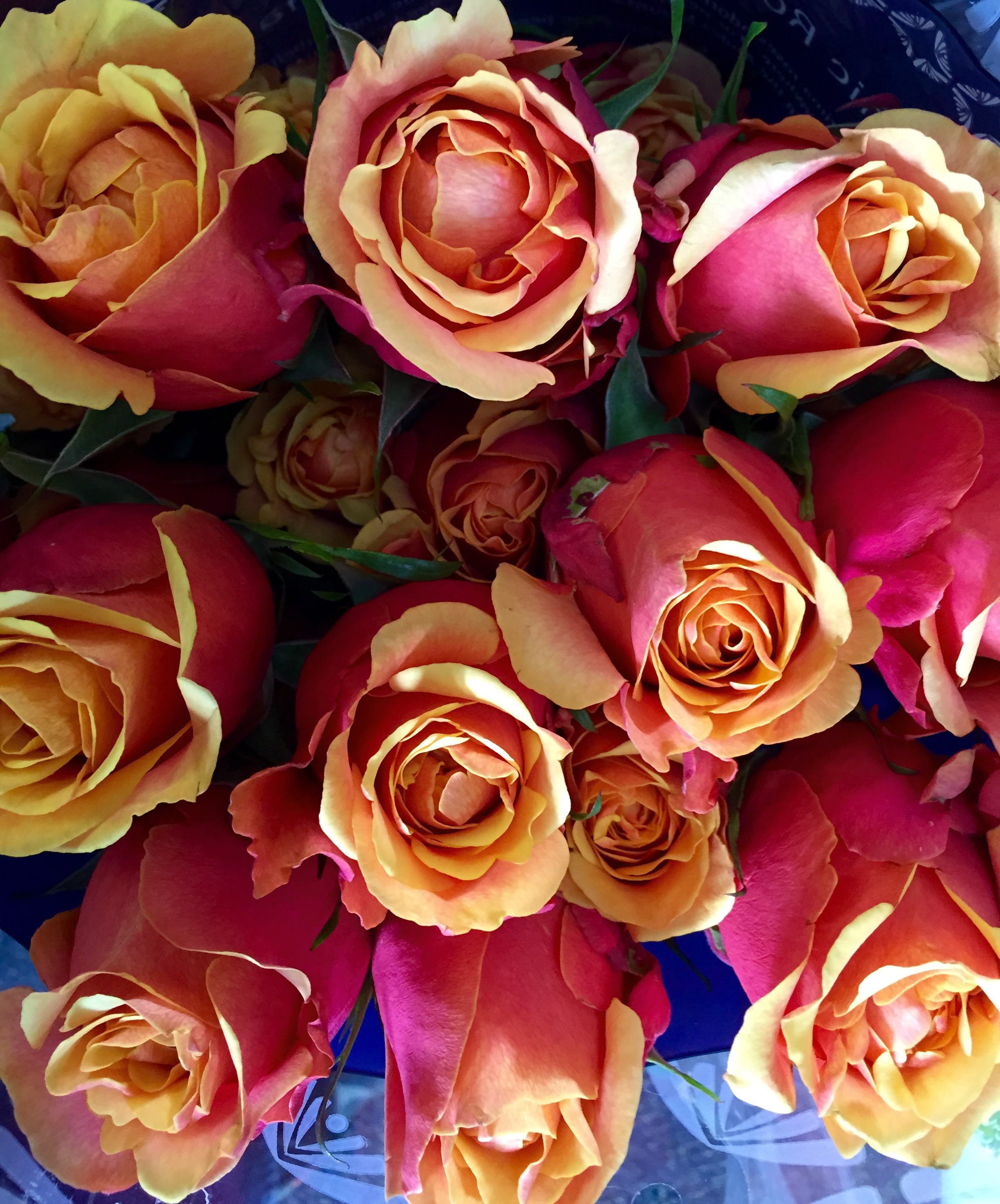 We always carry Rosaprima Roses. Nothing but the best for our customers ...