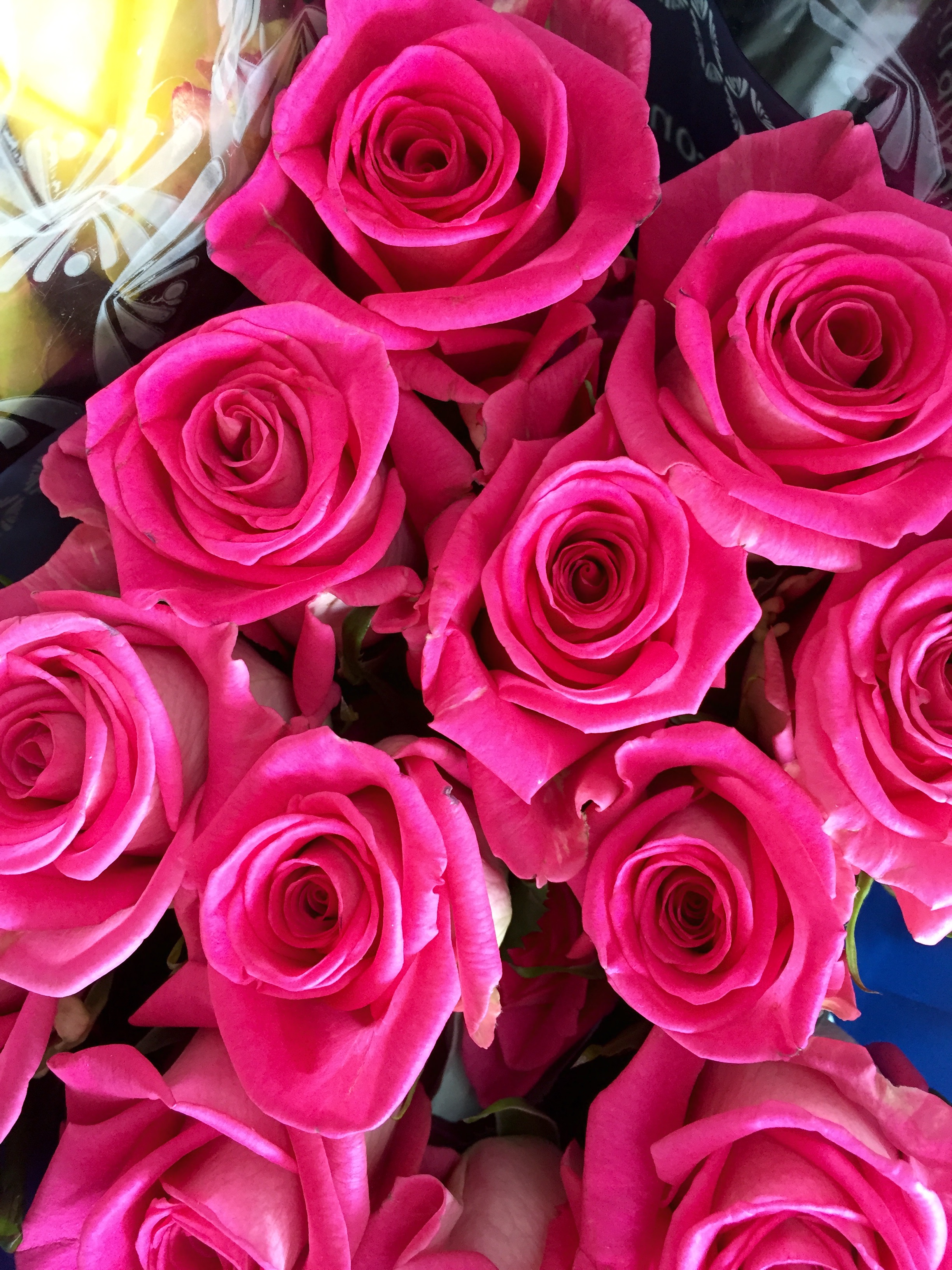 We always carry Rosaprima Roses. Nothing but the best for our customers ...