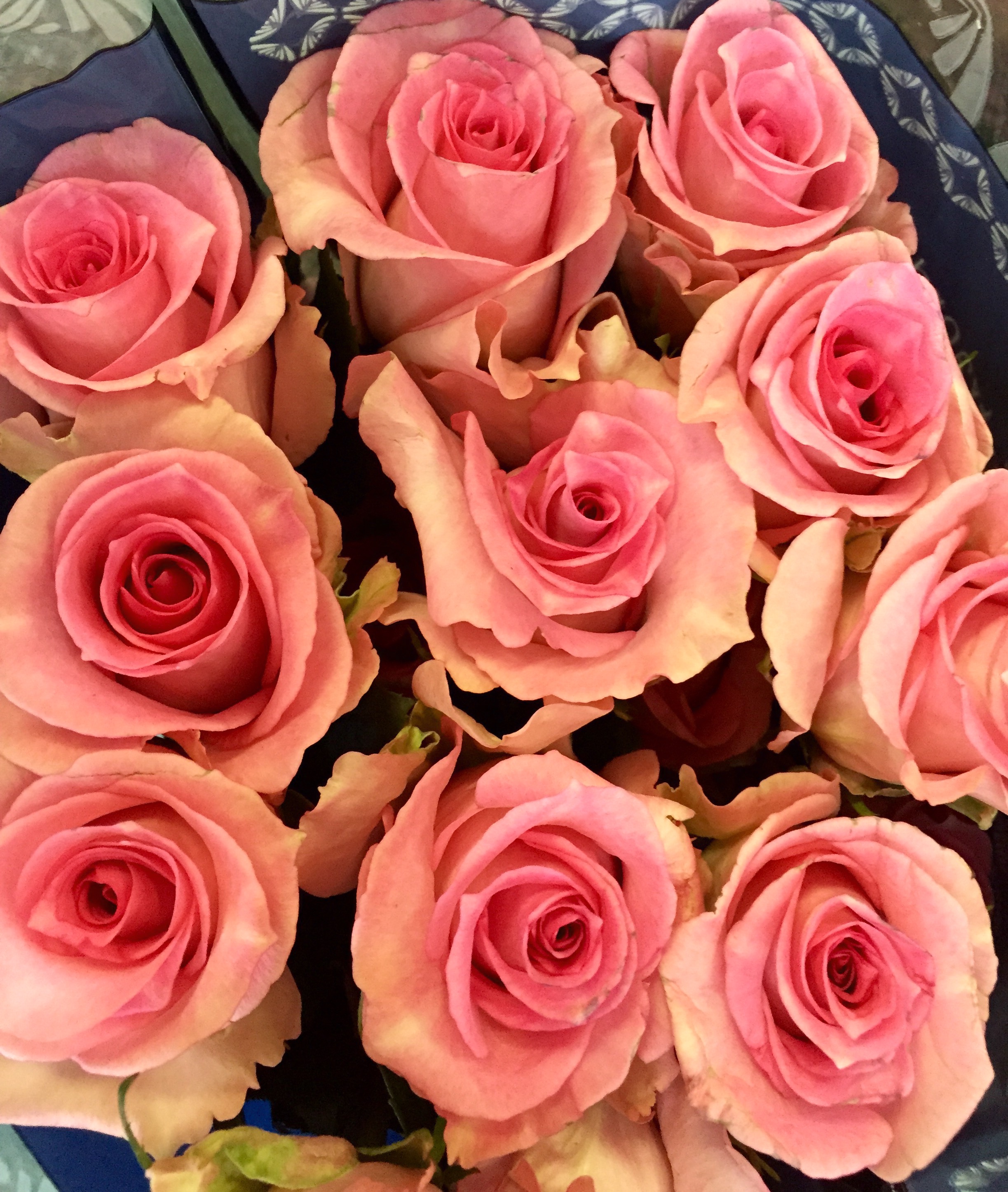 We always carry Rosaprima Roses. Nothing but the best for our customers ...