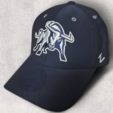 UT Bull Albatross Hat