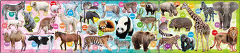 Jigsaw Puzzle Zoo Animals Panorama Puzzle (8+12+16 Pieces)