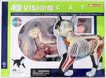 4D Vision Cat Black/White Anatomy Plastic Model