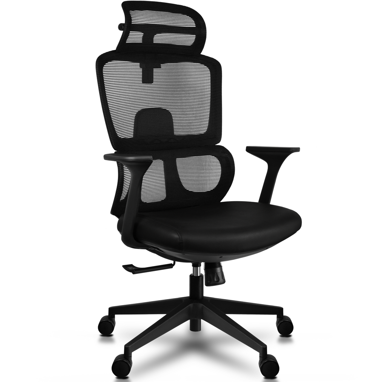 Ergonomic Office Chair with Lumbar Support, Adjustable Executive Desk ...