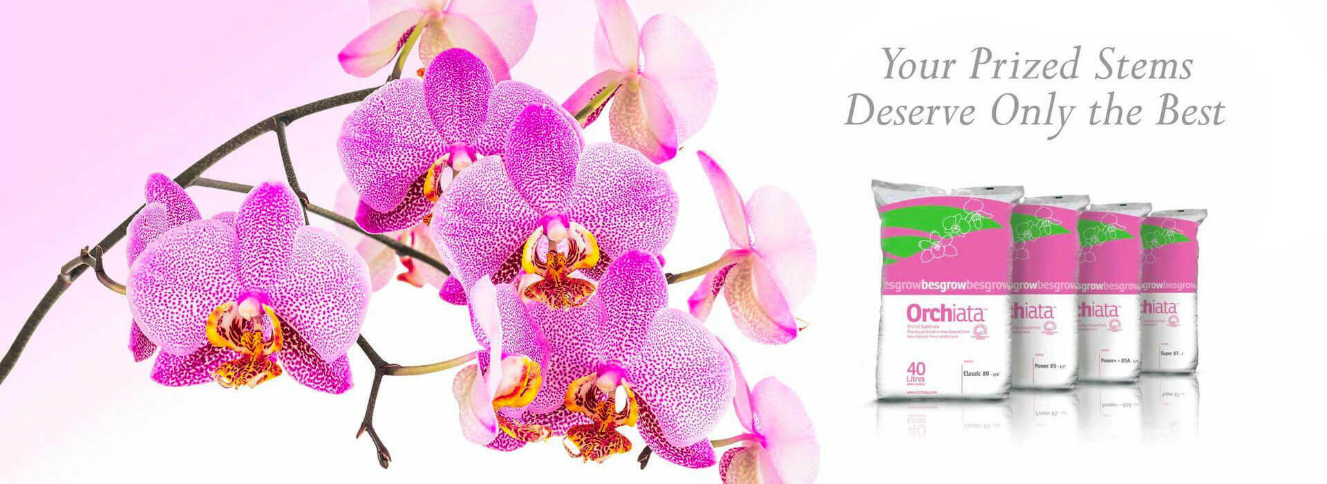 Orchid Supply Store - Your One-Stop-Shop for Orchid Supplies