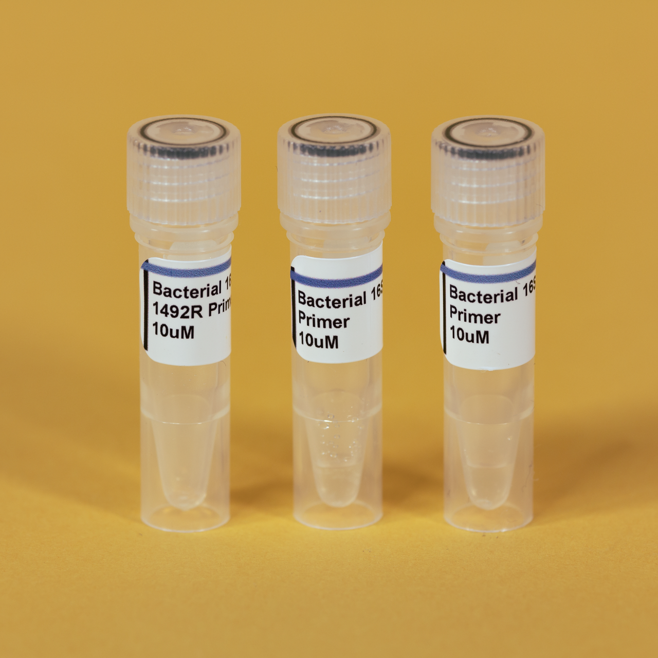 Bacterial 16s rDNA primers for Bacterial identification - The ODIN