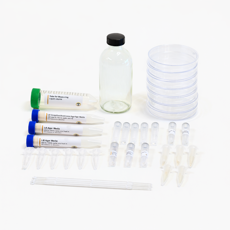 CRISPR Bacteria Gene Editing Kit
