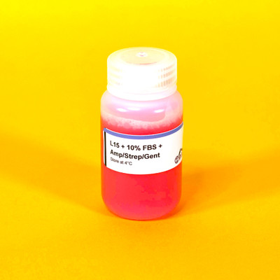 L15 Media with 10% FBS + Antibiotics 100mL - The ODIN