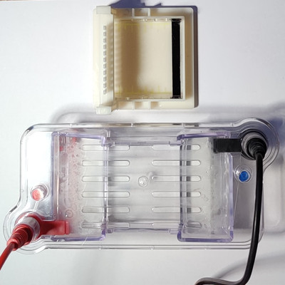 Gel Electrophoresis Box and Set - The ODIN