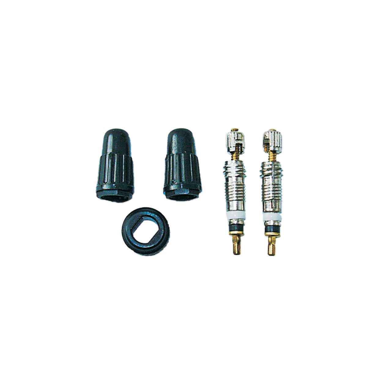 Weldtite Valve Core & Caps Kit (for Presta Valves) - MyTriathlon
