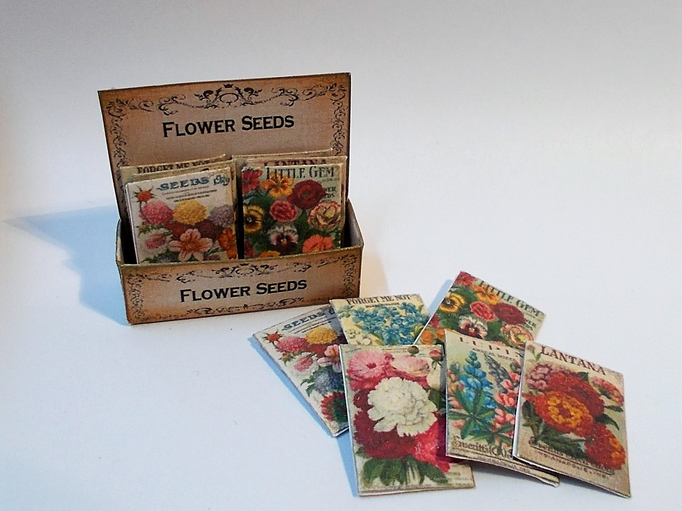 Download - Seed Display Box & 8 seed packs No2 - ZENA'S MINIATURES
