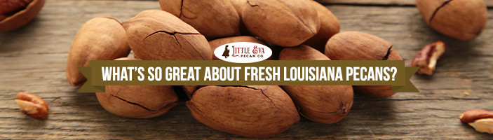 What’s So Great About Fresh Louisiana Pecans?