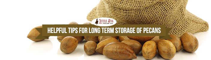 Helpful Tips For Long Term Storage Of Pecans