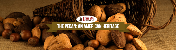 The Pecan: An American Heritage and Cultural Legacy