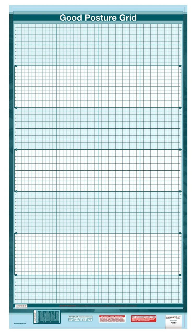 Posture Grid Sticky Wall Poster - Clinical Charts and Supplies
