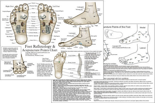 Foot Reflexology Zone Massage Poster Clinical Charts And Supplies