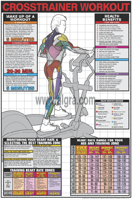 Handstand Exercise Poster - Clinical Charts and Supplies Handstand Exercise Poster - Clinical Charts and Supplies