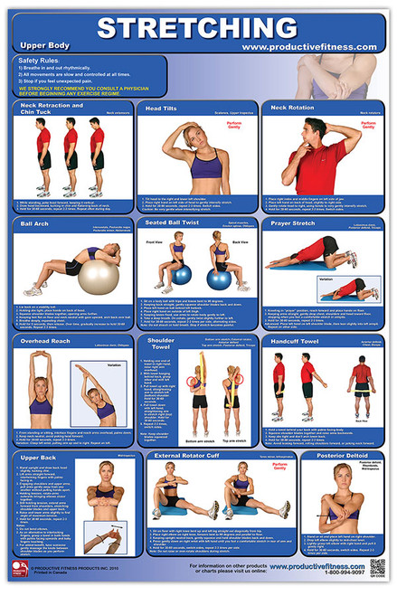Stretching - Upper Body Poster - Clinical Charts and Supplies