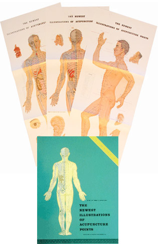 The Newest Illustration of Acupuncture Points Posters - Clinical Charts ...