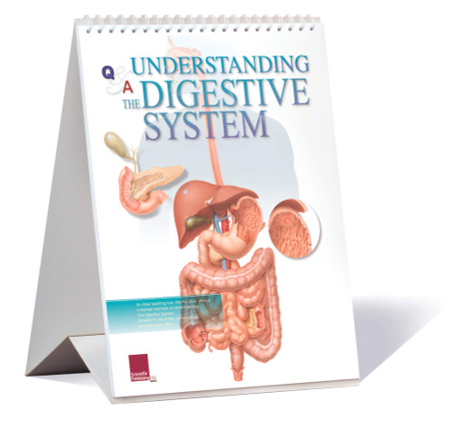 Digestive System Flip Chart - Clinical Charts and Supplies