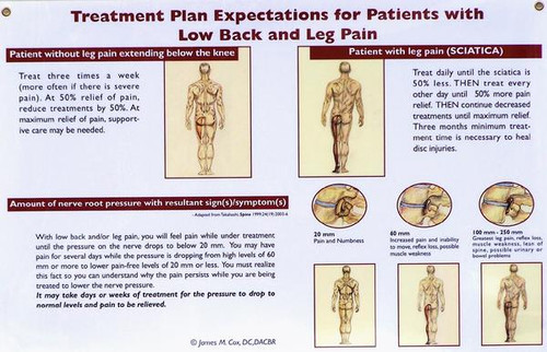 Treatment Plan, Low back and Leg Pain Poster - Clinical Charts and Supplies