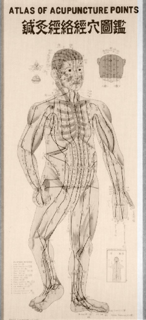 Acupuncture Points Atlas Poster - Clinical Charts and Supplies