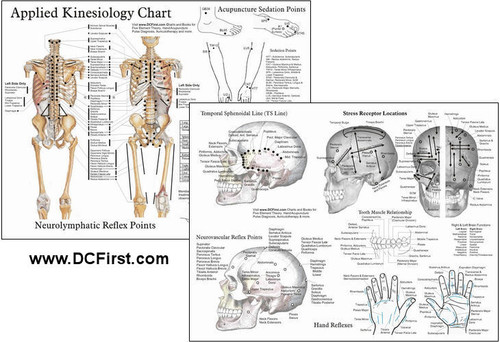Applied Kinesiology Chart - Clinical Charts and Supplies