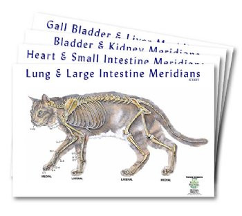 Feline Meridian Chart Set - Clinical Charts and Supplies