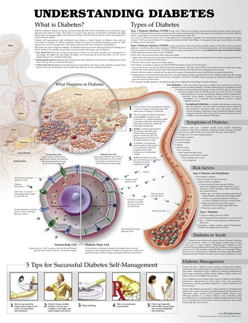 Understanding Diabetes Poster 3rd ed. - Clinical Charts and Supplies