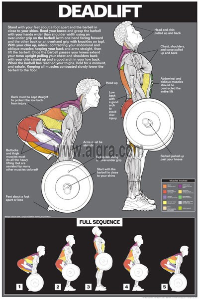 Deadlift Exercise Poster - Clinical Charts and Supplies