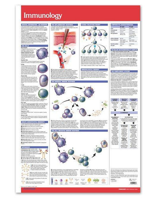 Immunology Poster - Clinical Charts and Supplies