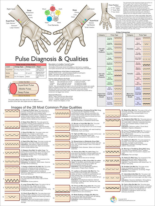 Pulse Diagnosis Poster 2nd ed. - Clinical Charts and Supplies