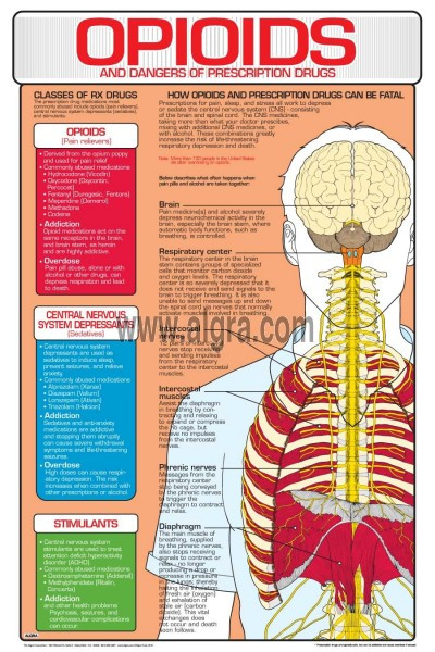 Opioids Poster - Clinical Charts and Supplies